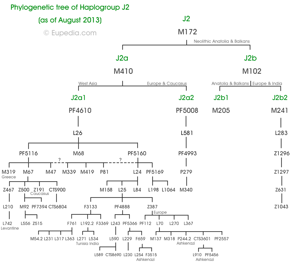 Расология, Антропология, Генетика : Гаплогруппа J2, её размещение ...